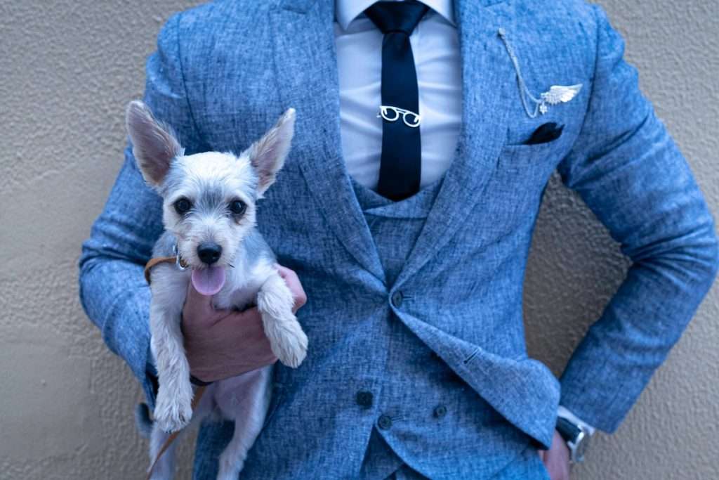 The ESTJ Personality Type: What You Need To Know & More!