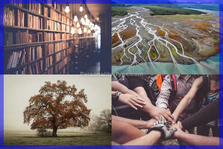 Socionics Quadras: Exploring the Heart of Personality Synergy