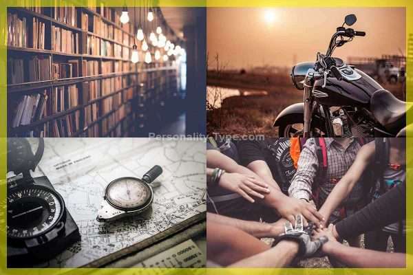 Socionics Quadras: Exploring the Heart of Personality Synergy